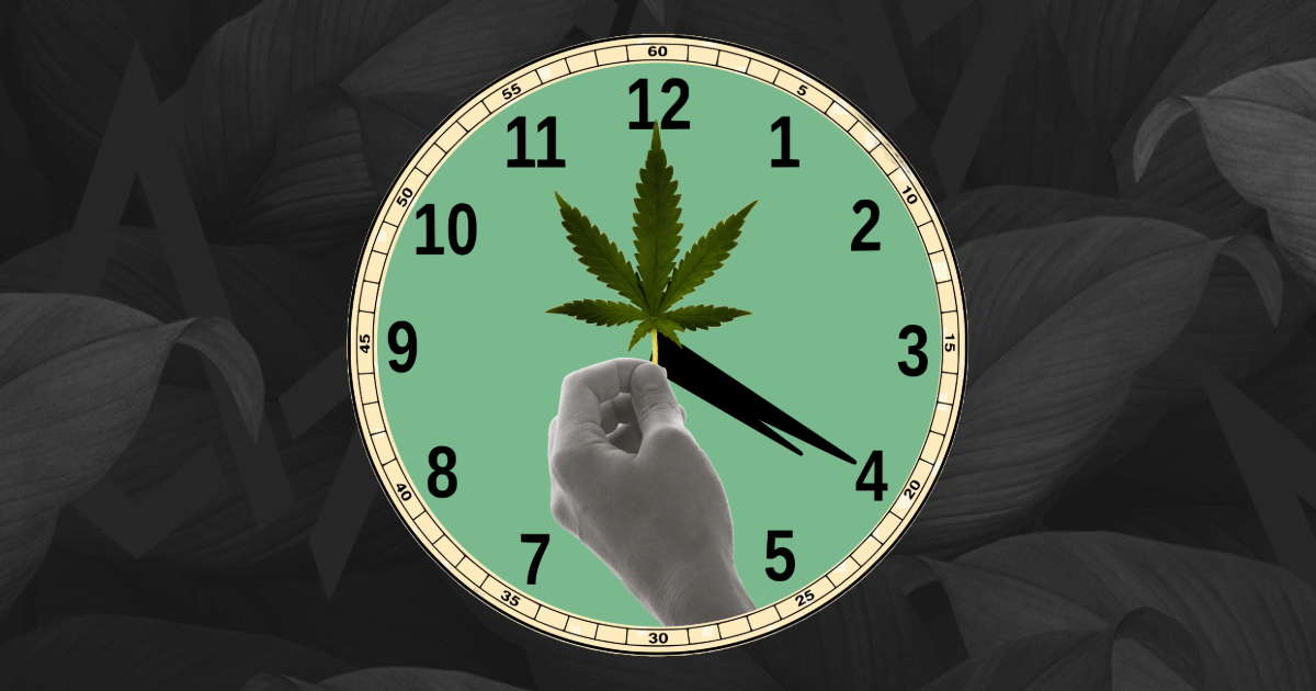 How 420 Became the Ultimate Cannabis Holiday