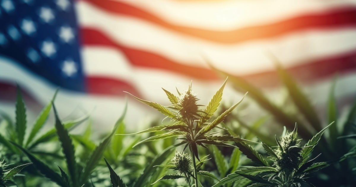 Best Cannabis Strains for Memorial Weekend | Summer 2025 Guide