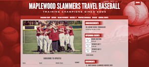 How to Start a Travel Baseball Team in 7 Steps | Jersey Watch