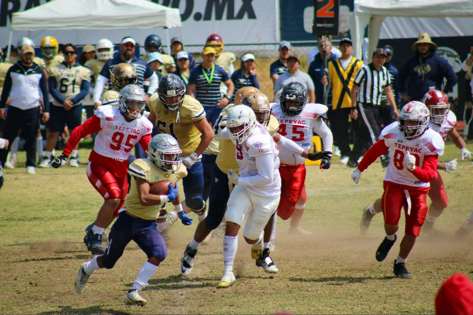 Youth Sports Training: A Guide to Developing Young Athletes | Jersey Watch