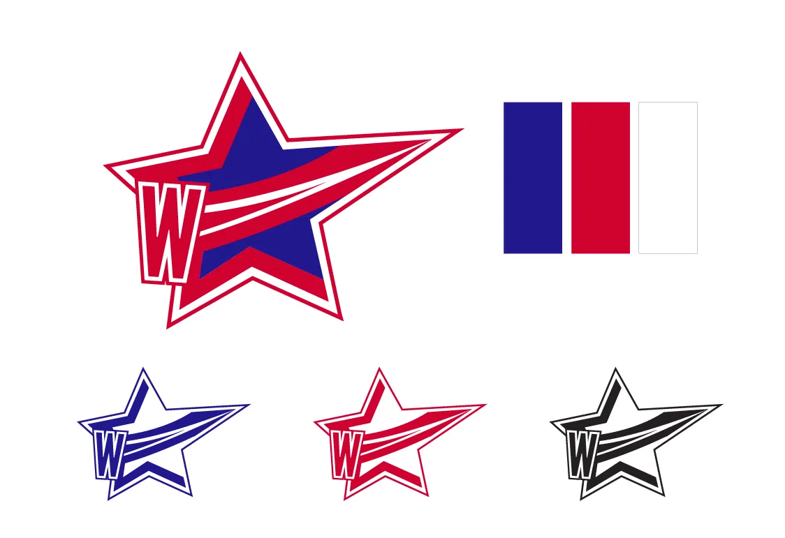 How to Start a Cheerleading Team in 10 Steps | Jersey Watch