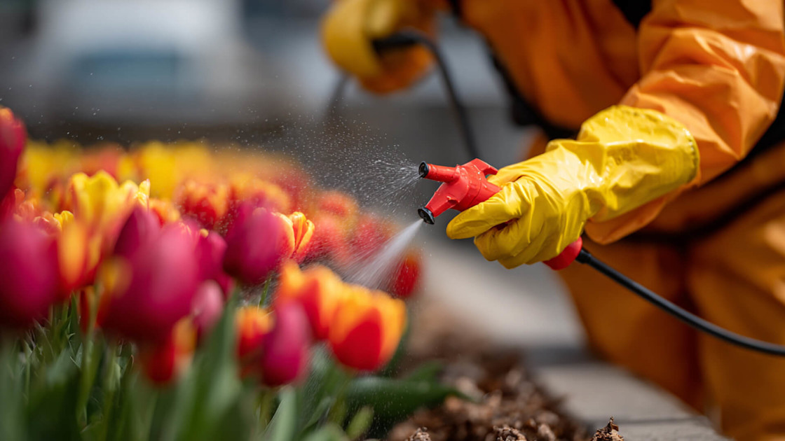 Ctgb Triggers Interim Review of 46 Products Amid Rising Scrutiny of TFA ...