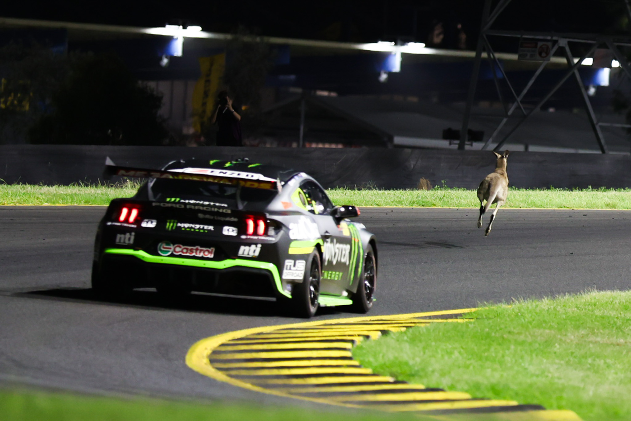 Shoo, 'roo: Waters explains kangaroo test day encounter | Supercars