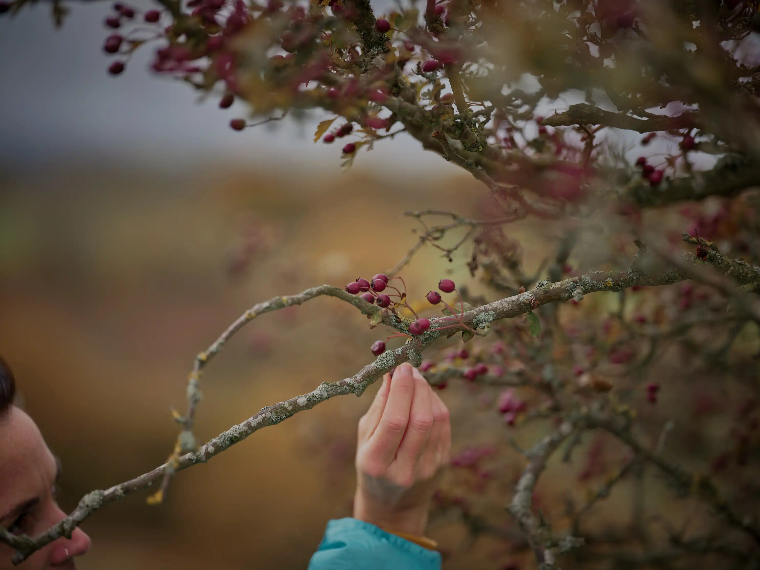 Why you should spend time (in nature) solo