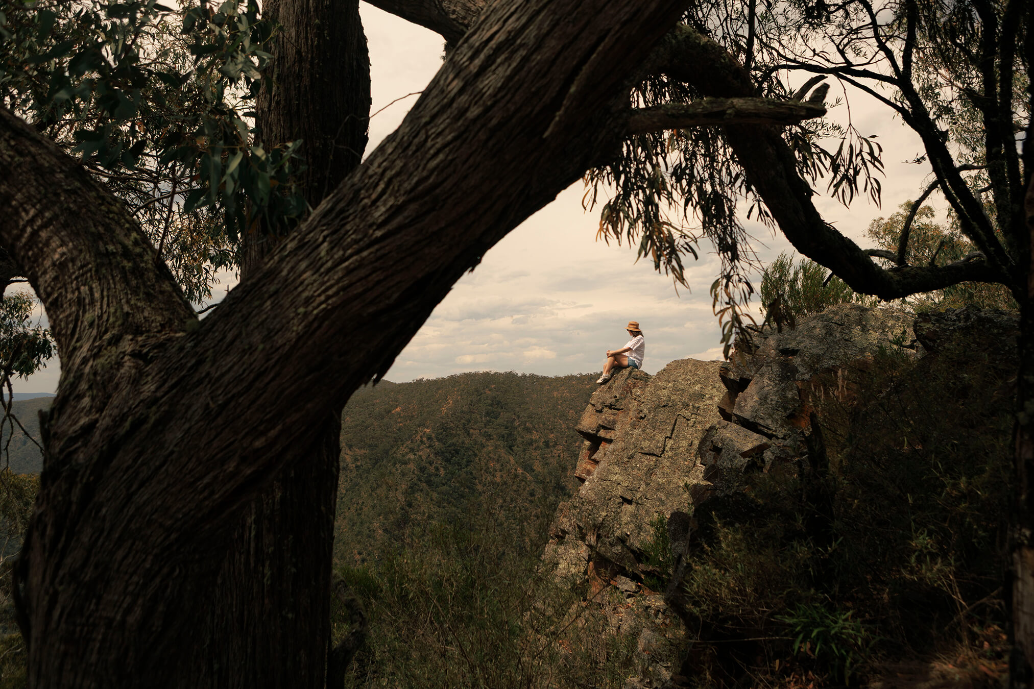 Attention Restoration Theory: Why Nature Heals Mental Fatigue