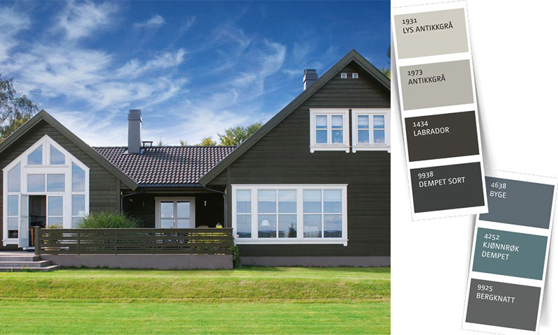 Hvilken farge passer til labrador – Integrert kjokkenet