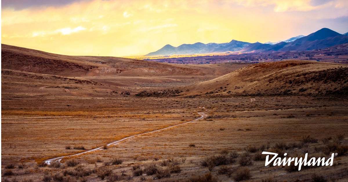 Paiute ATV Trail Guide | Dairyland®