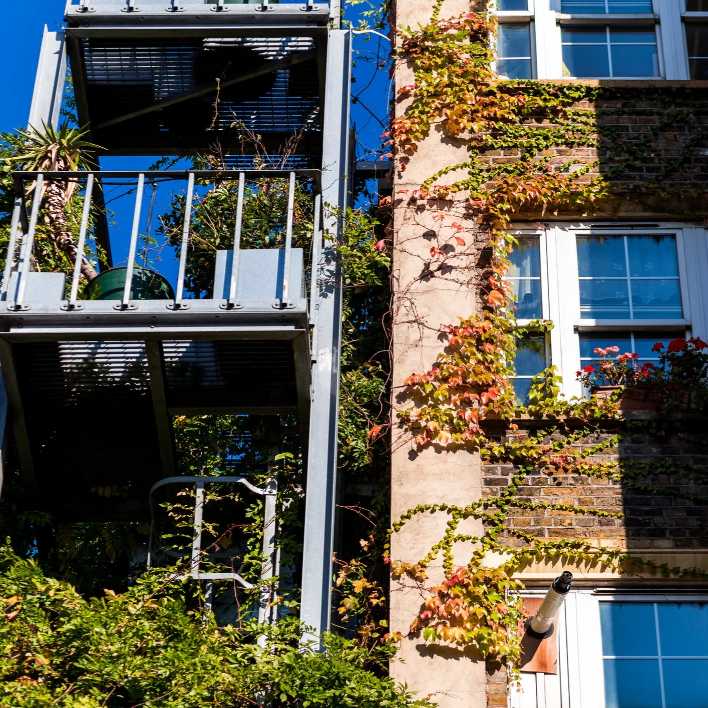Online letting agents for landlords