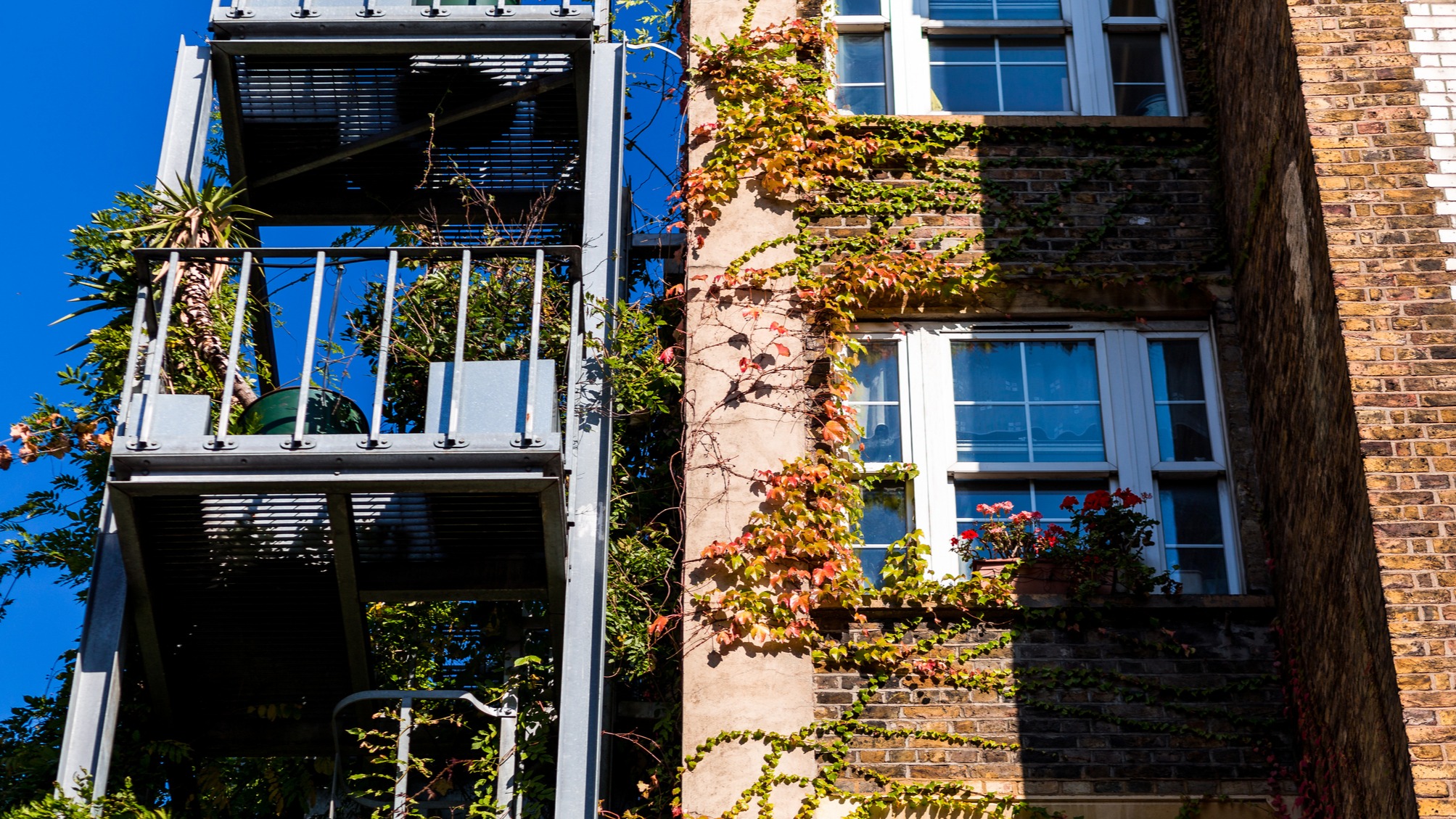 Online letting agents for landlords