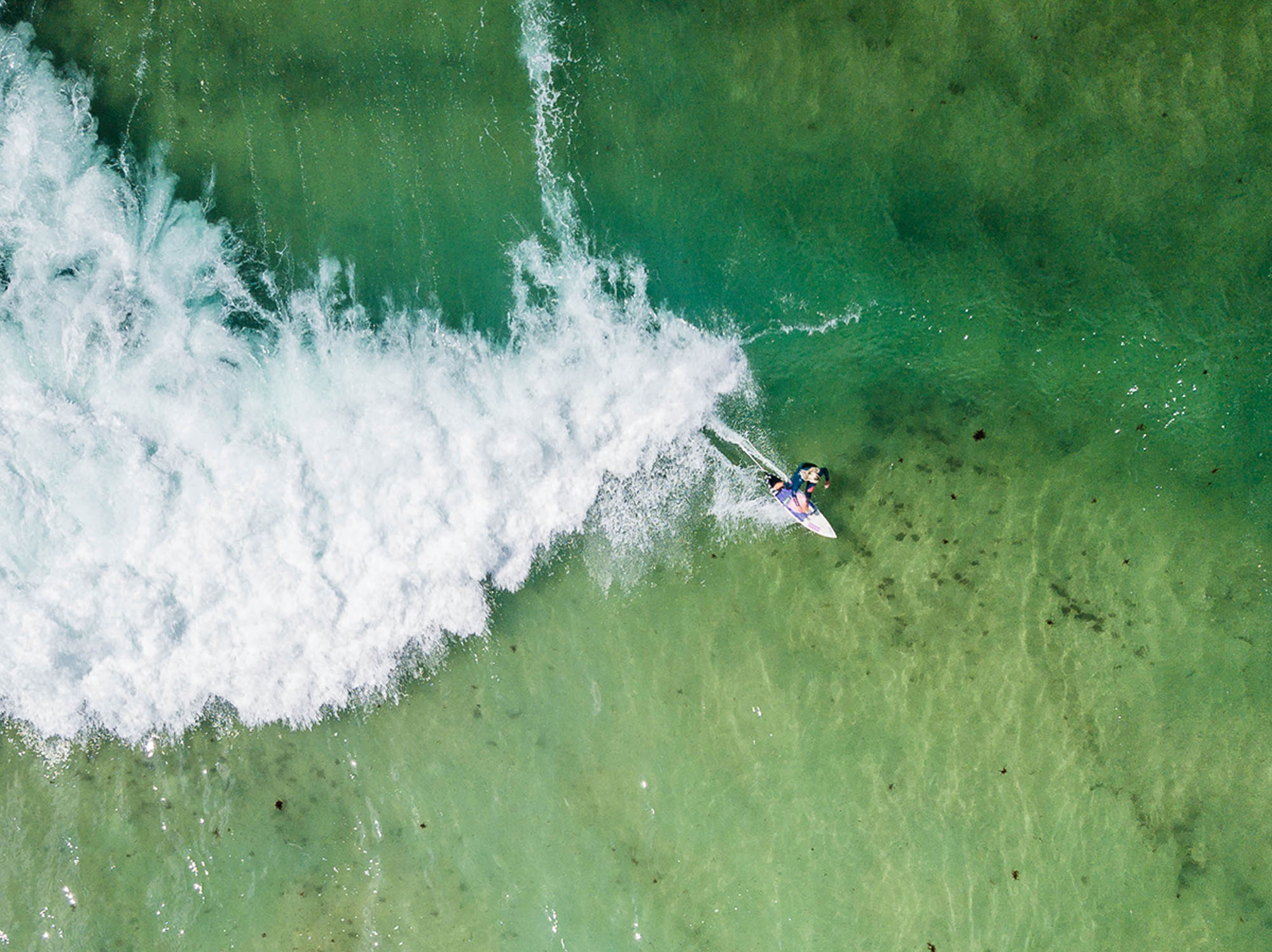Lapoint Surfcamp Alentejo, Portugal | Surfeturer & surfeskole - Lapoint ...