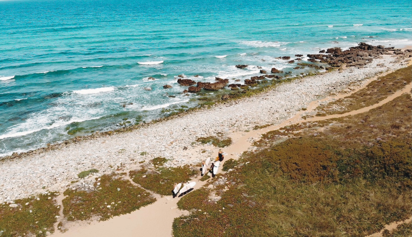 20 tips for beginner surfers: Learn to surf step by step