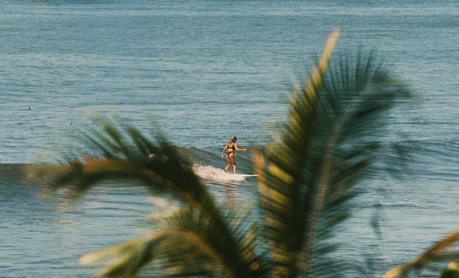 Ultimate Lapoint Surf-Bucket-List für deinen Sommer 2025