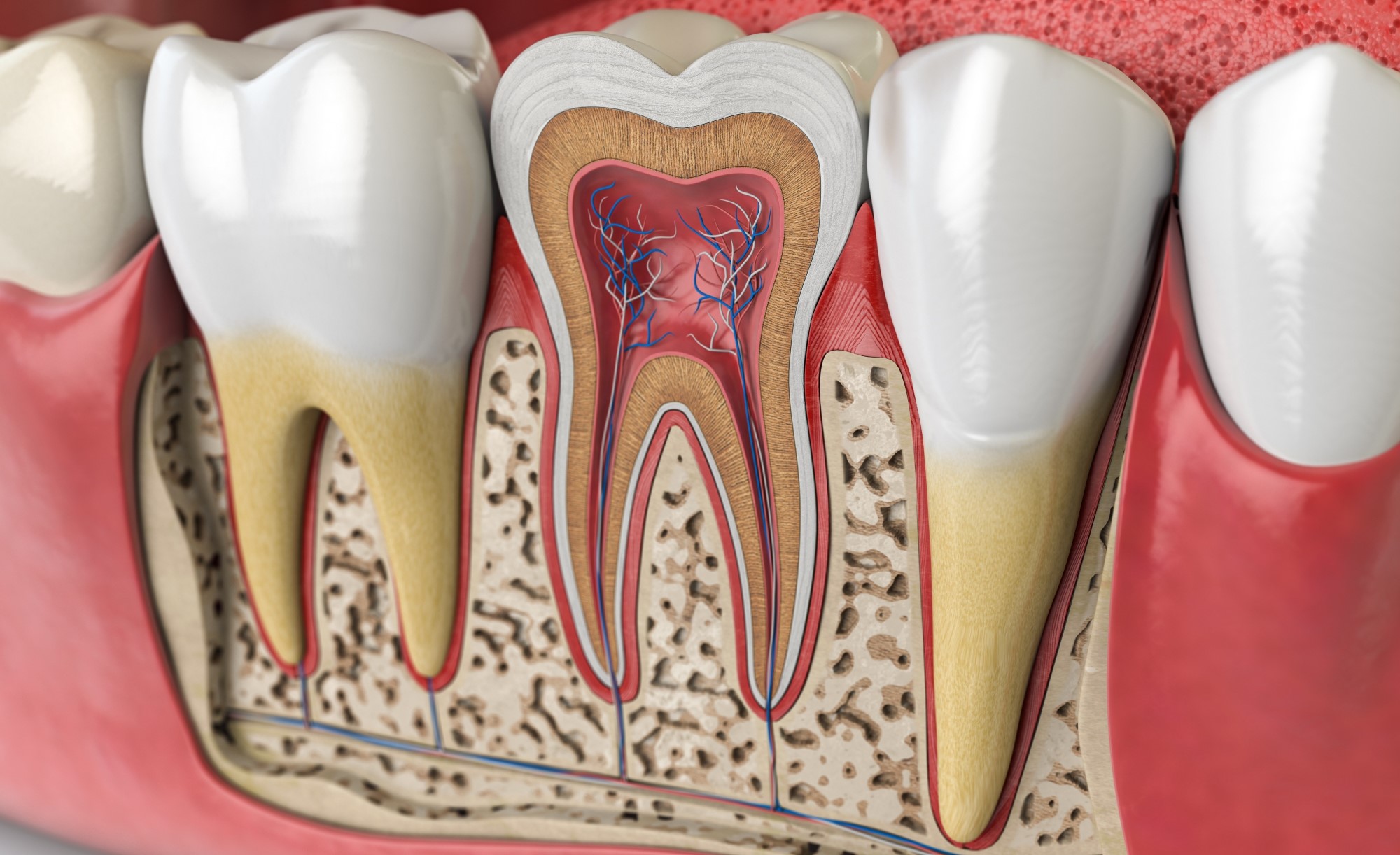 Pulpitis: Arten, Symptome und Behandlung | Oral-B DE