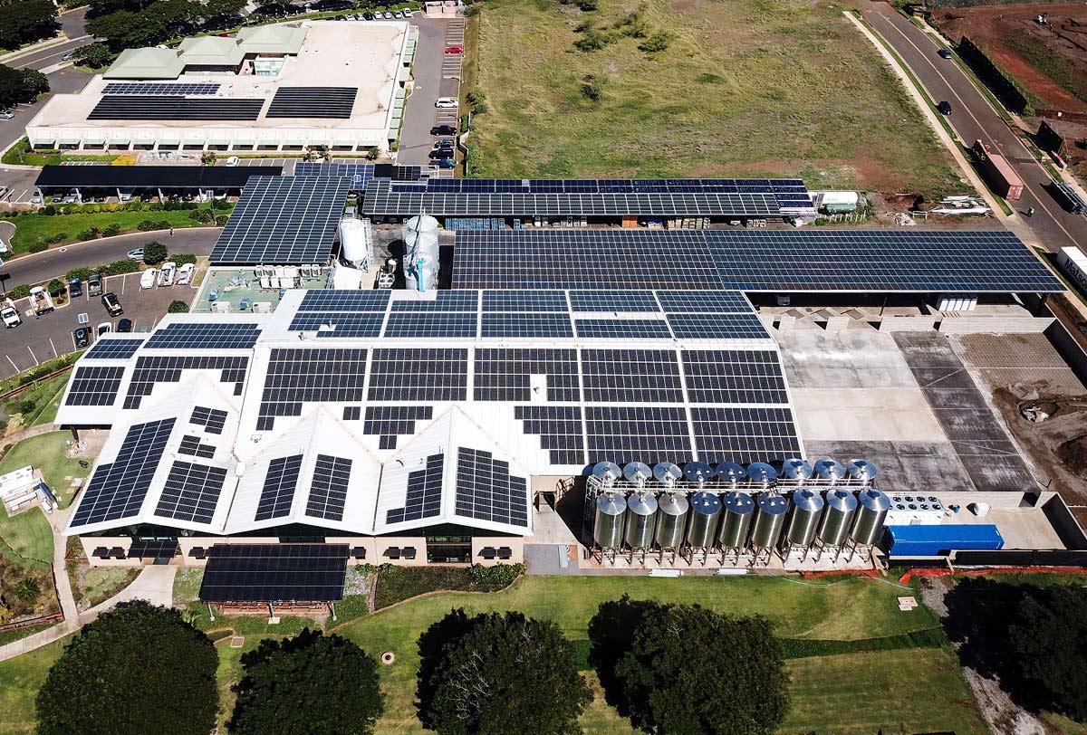 Q & A with Garrett Marrero, Founder of Maui Brewing | Brewing Industry ...