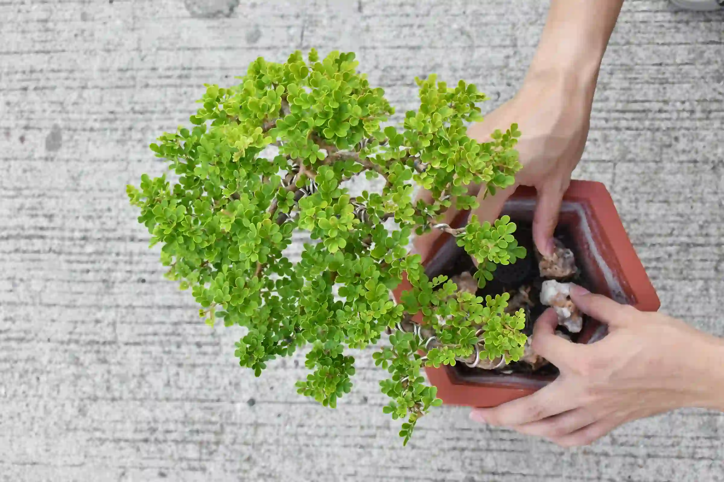 Benefits of Upgrading to Optimizely CMS 12 | Bright IT