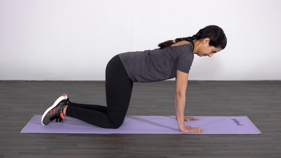 Quadruped chin tucks: 2 x 10 reps with 2 second holds