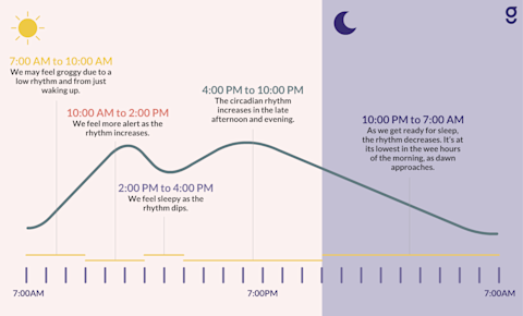 5 Tips for Taking the Perfect Power Nap | Goodpath