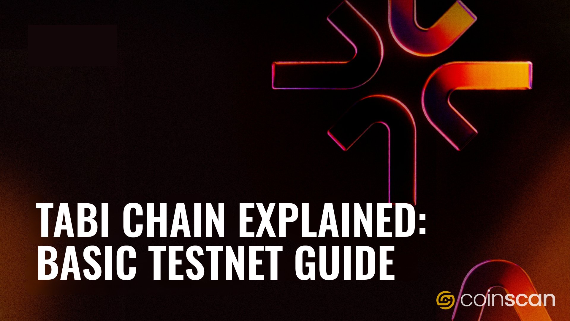 Tabi Chain: Token Price, Launch Date, Token and Testnet Guide