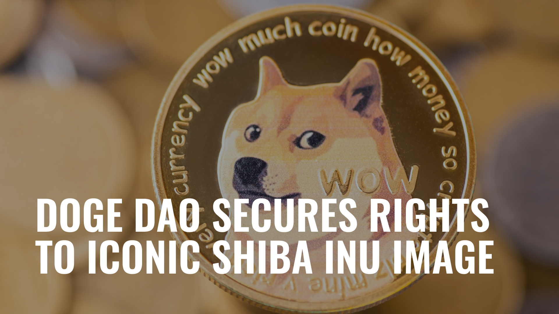 Doge DAO Secures Rights to Iconic Shiba Inu Image