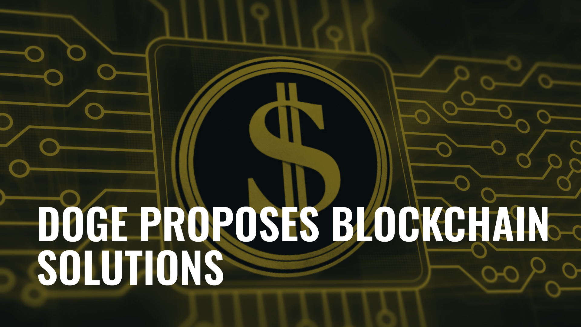 Elon Musk Proposes Using Crypto Networks in DOGE