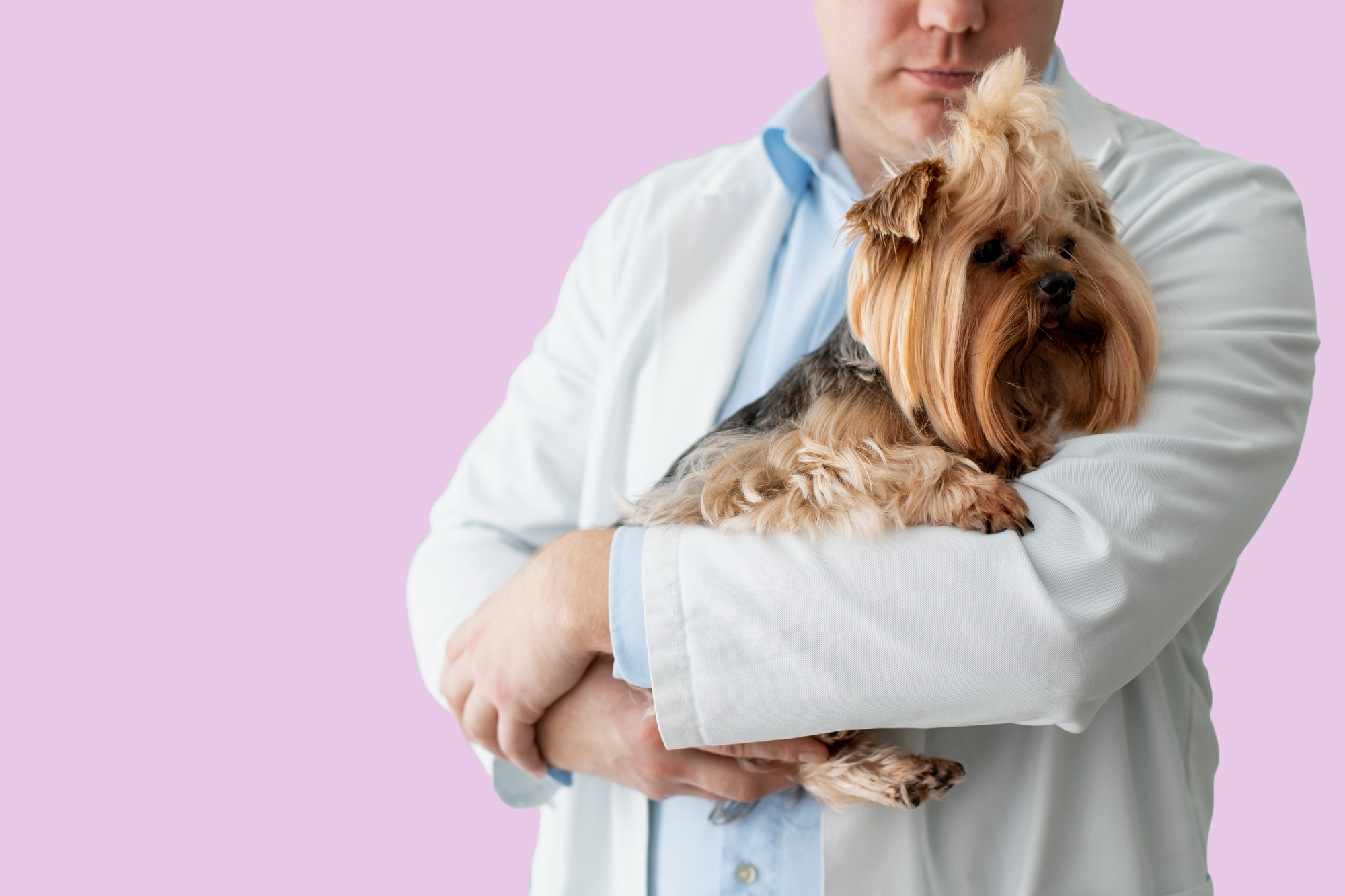 Kidney Disease in Pets: Common Prescription Medications for Management ...