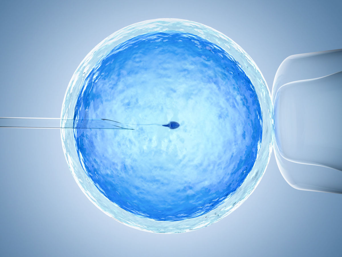 Comprehensive Guide To Cetrorelix For IVF | CareCard