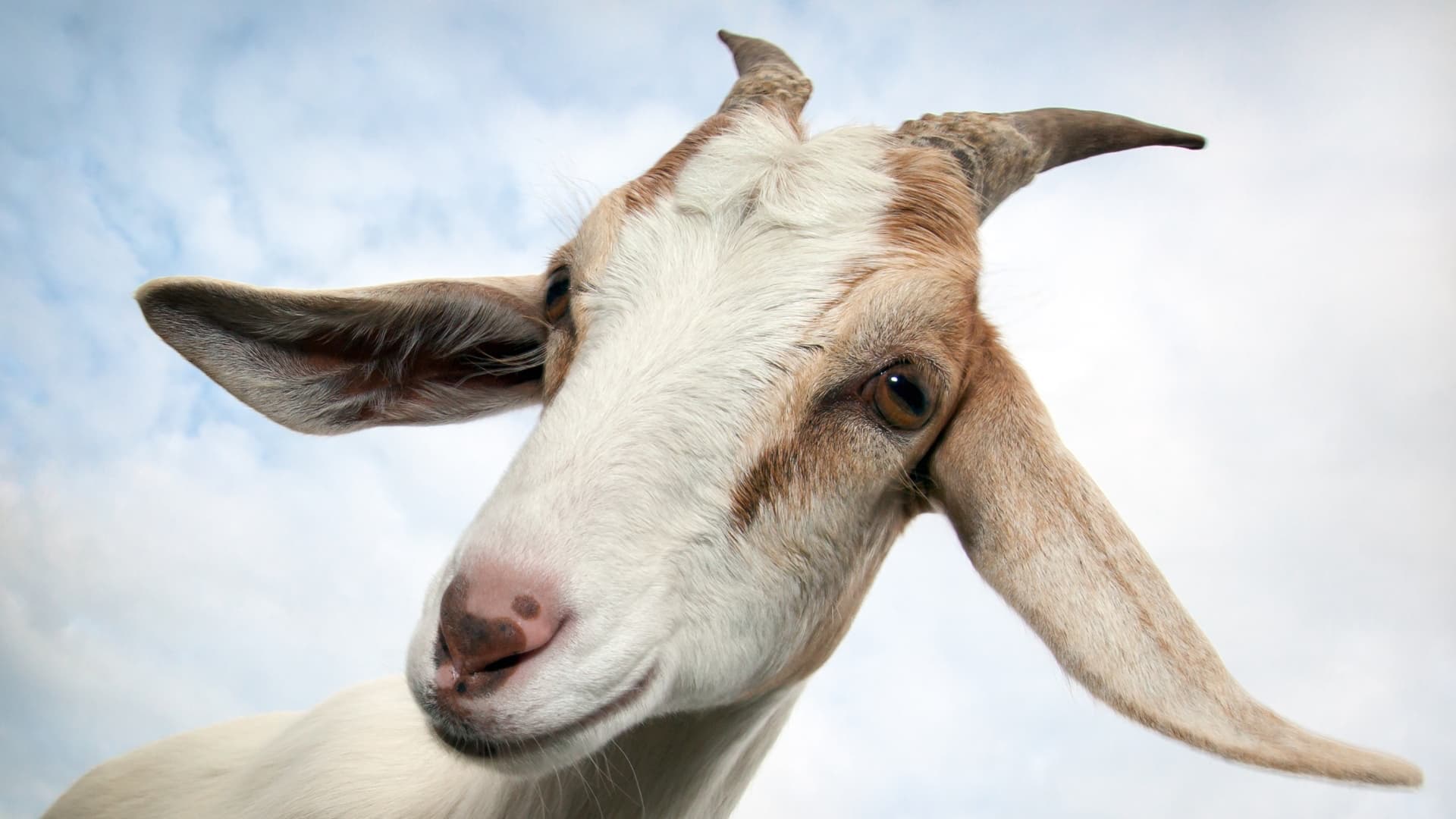 Cribl Awards Its 1000th CCOE Certification - Cribl