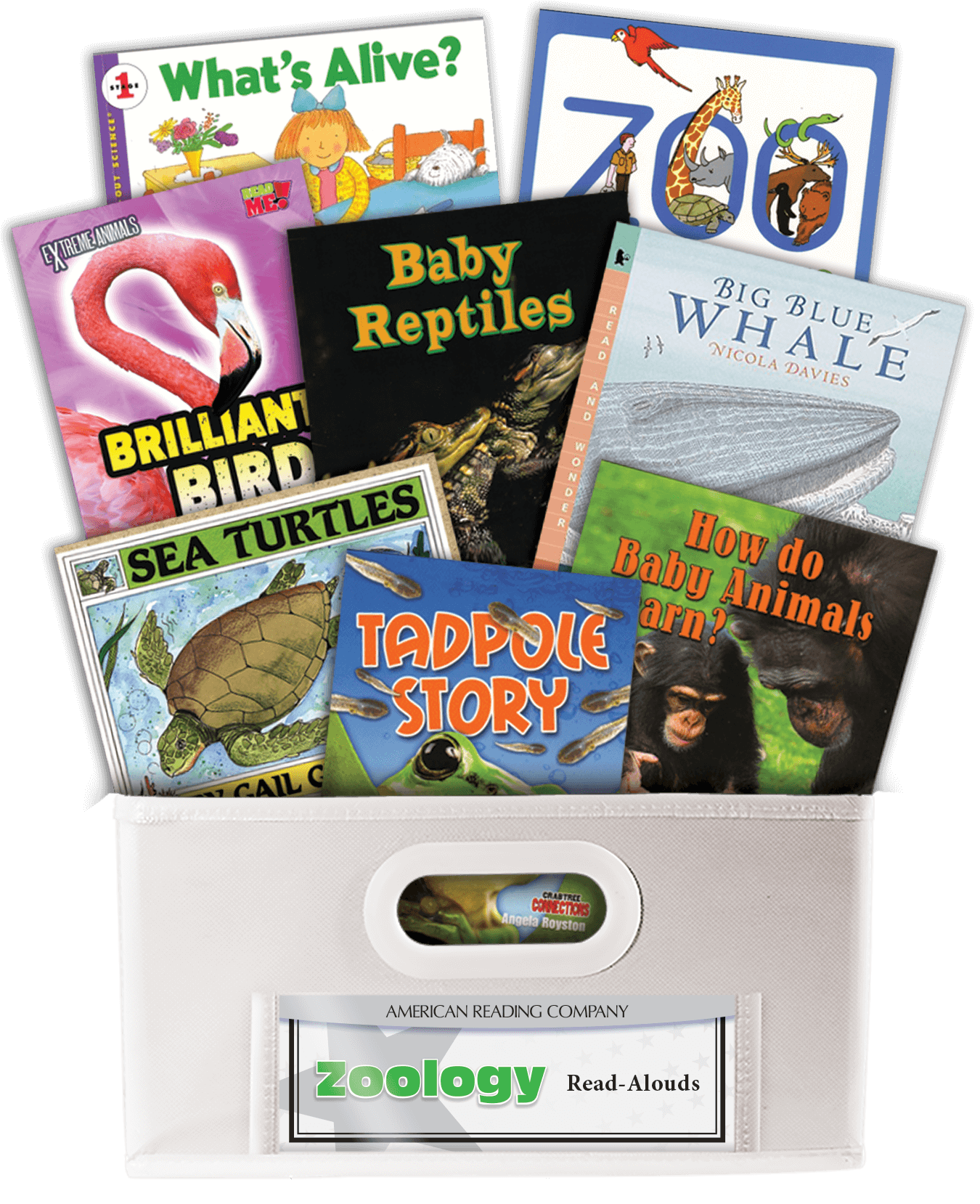 Zoology | ARC Core Theme