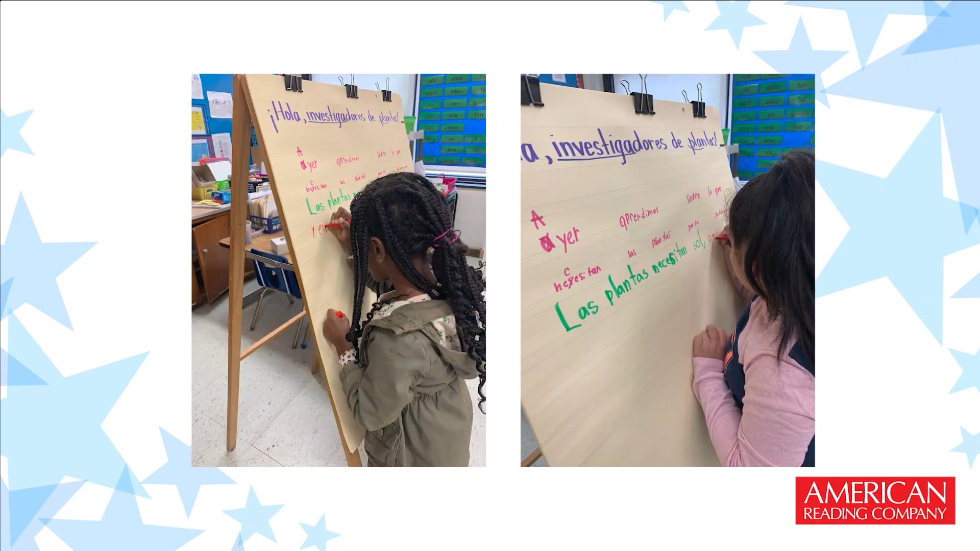 K-12 Literacy Solutions