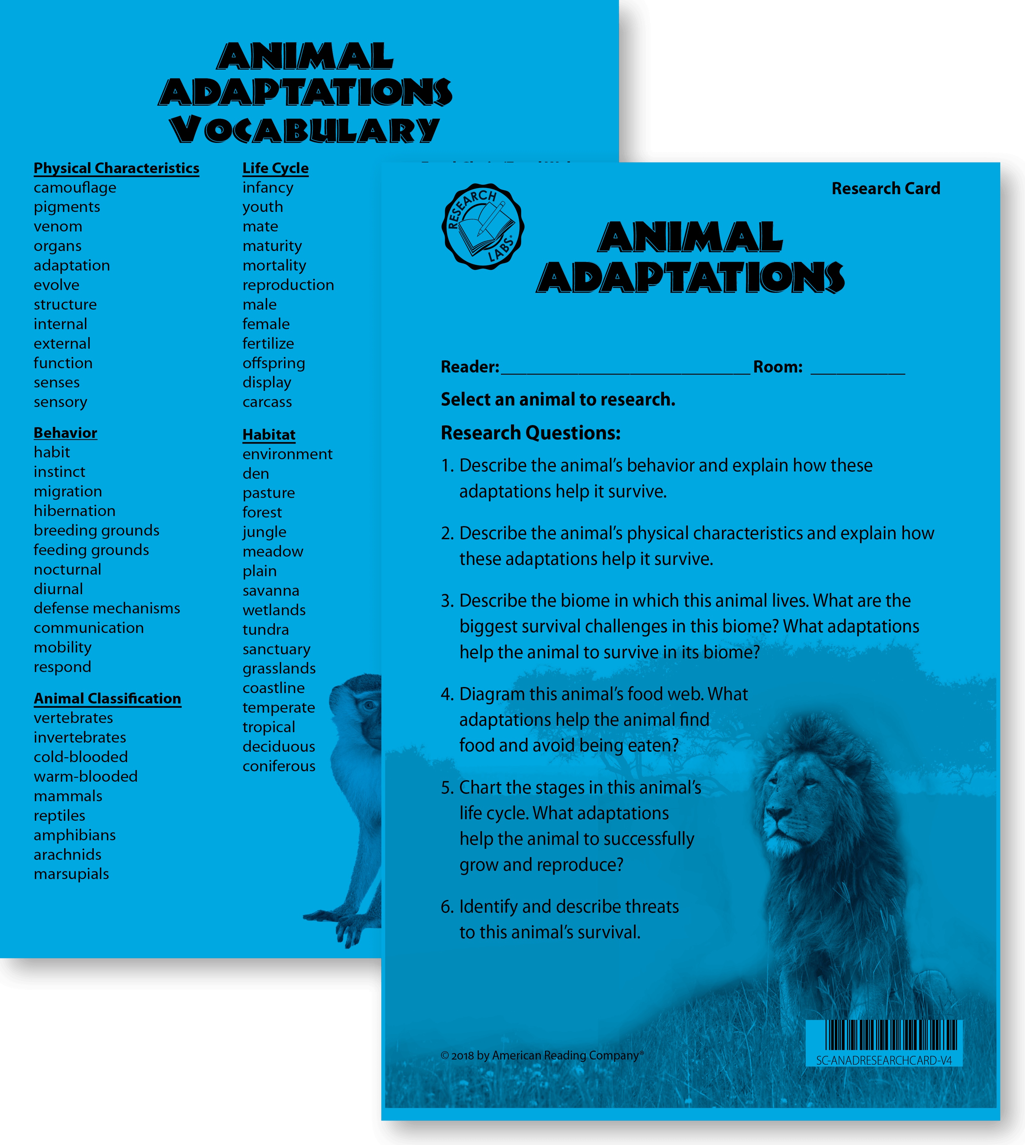 Animal Adaptations | ARC Core Theme