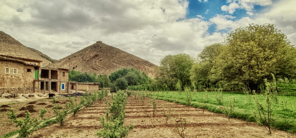 Moroccan Wines: A Guide to Vineyards and Wine Regions