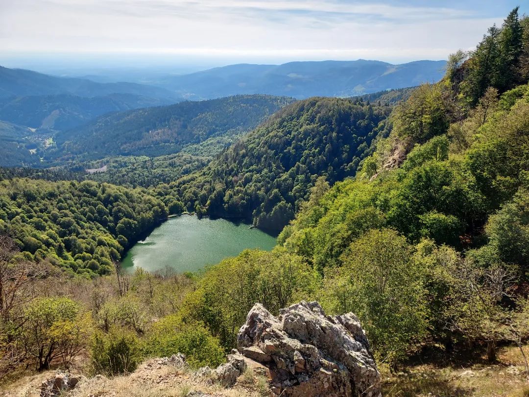 Lac des Perches et Neuweiher - Randonnée & Guide | Rheaparks