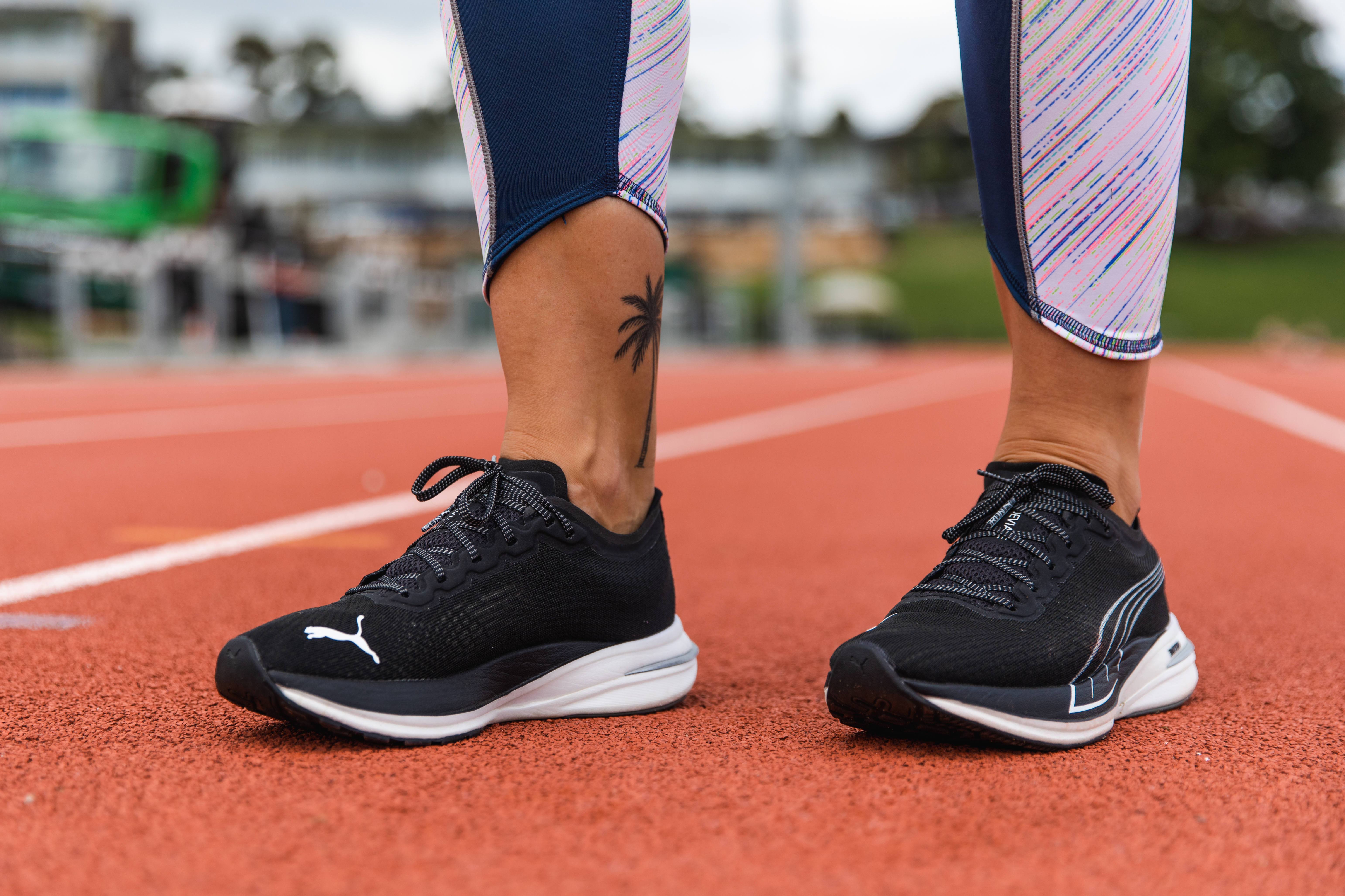 Liz Clay: Evolution | Tempo