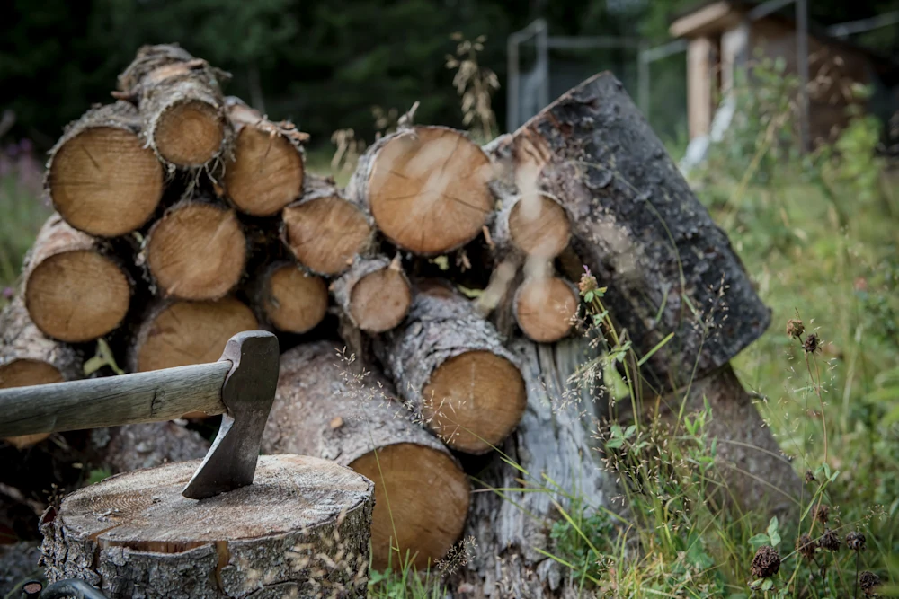 Markus Torgeby : The patina of perfection | Tempo