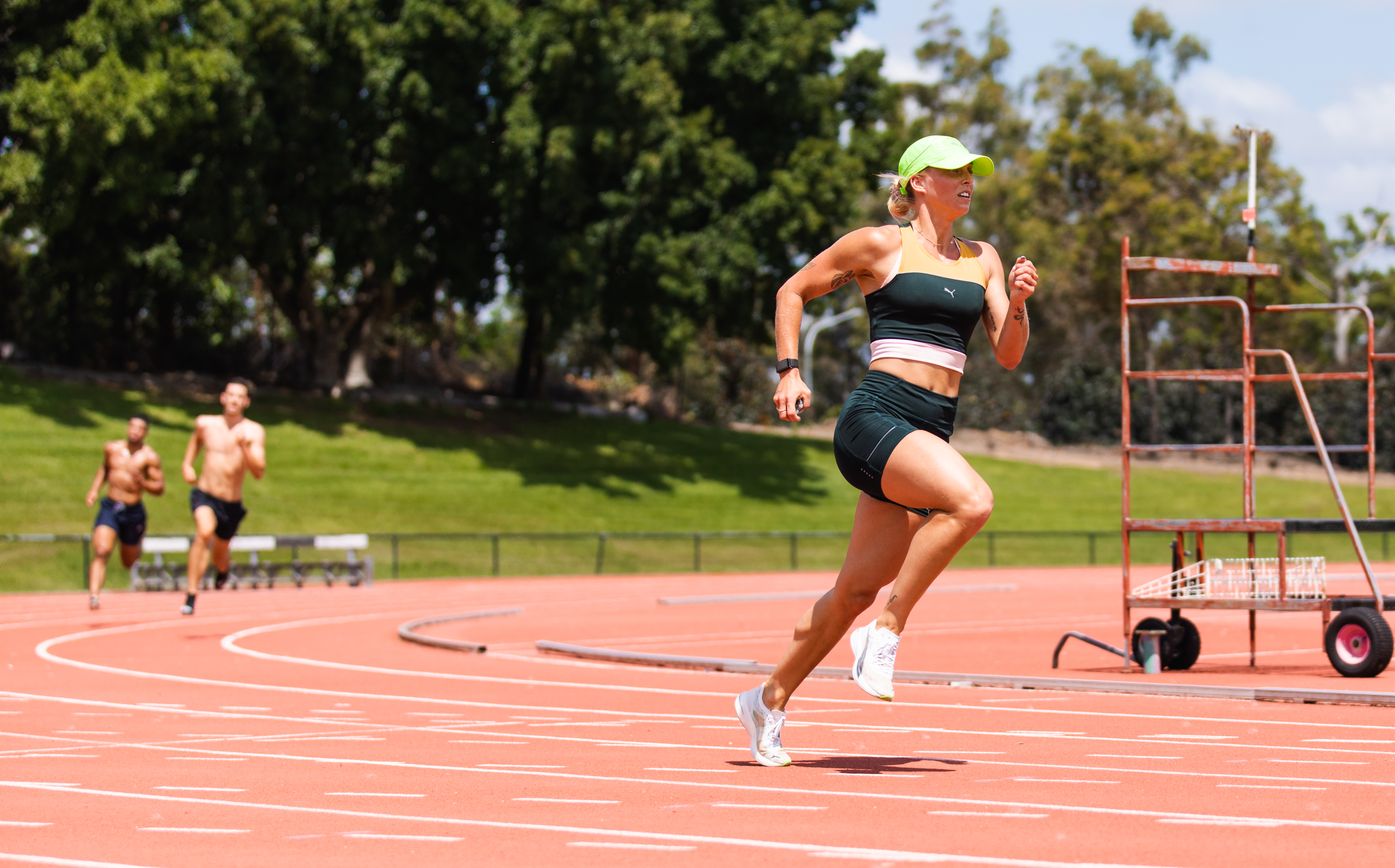 Liz Clay: Evolution | Tempo