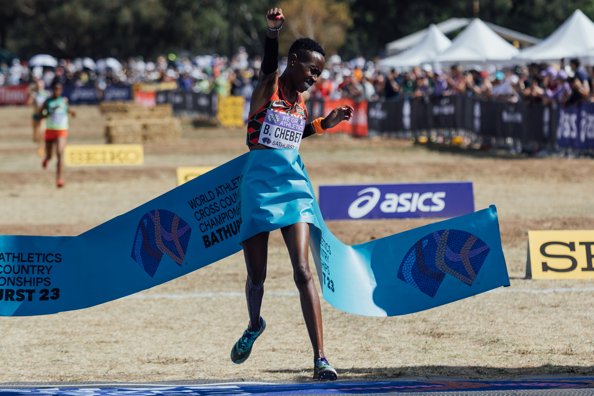 World Cross Crucible | Tempo