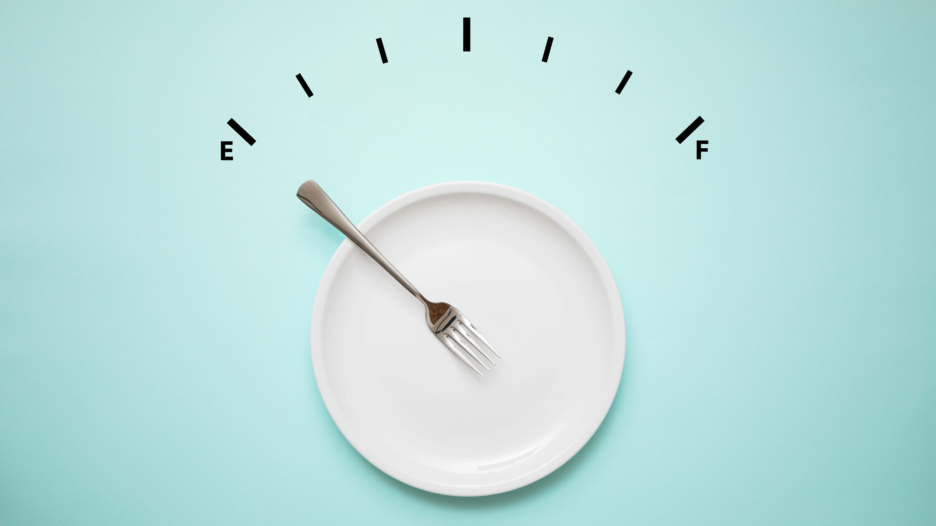 The Importance of Fueling Properly | VIS