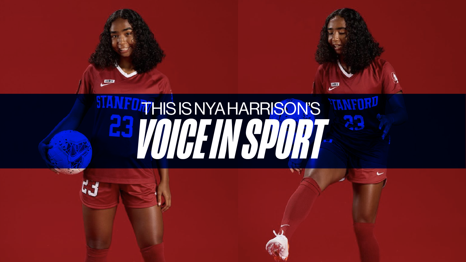 Diversity & Inclusion with Nya Harrison | VIS