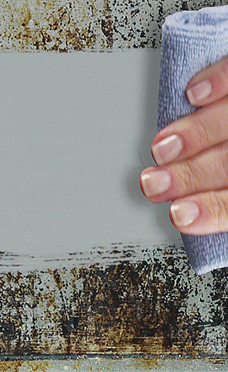 Mr. Clean Professional Cleaner | P&G Professional