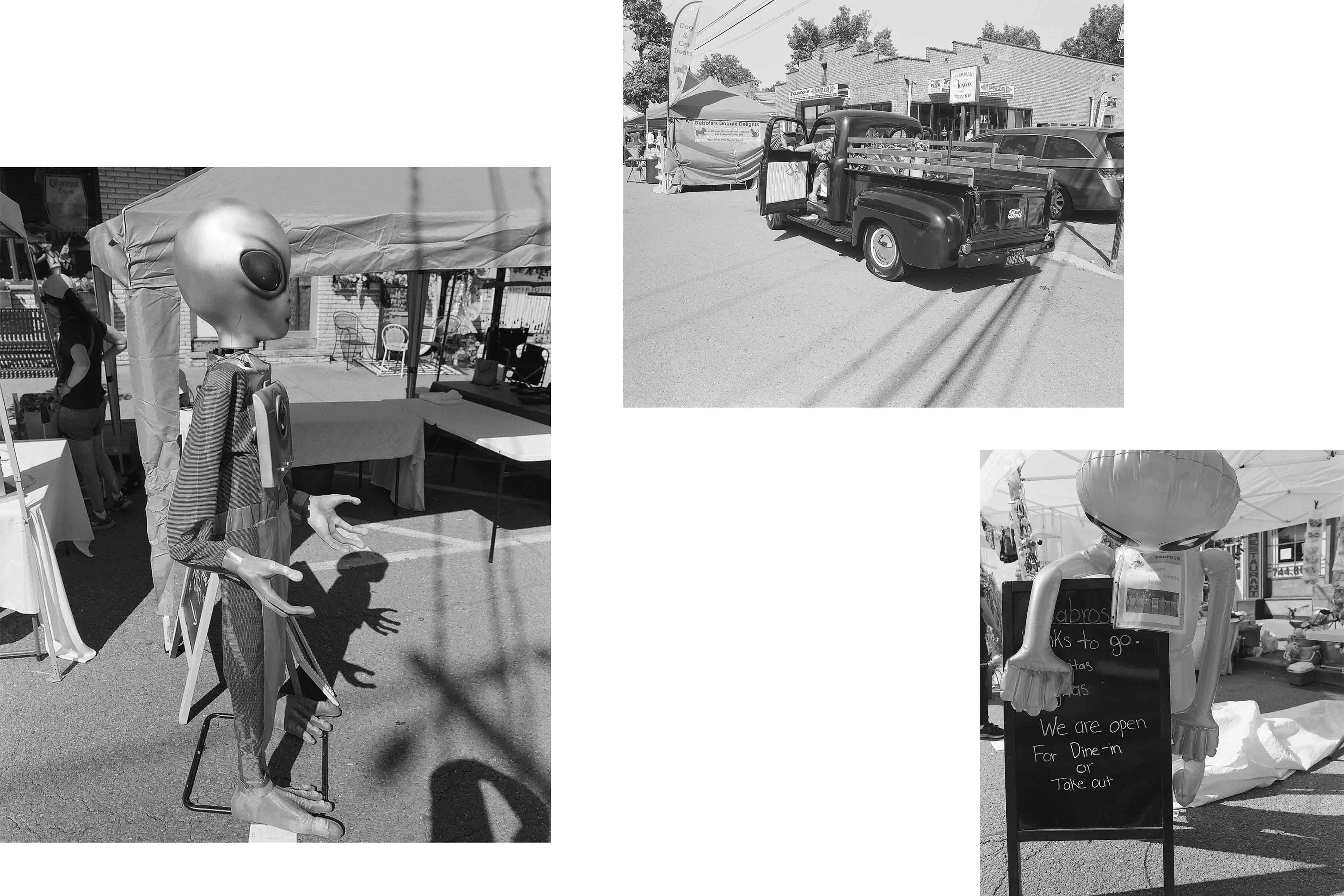 In Photos: The Alien World of Pine Bush, NY