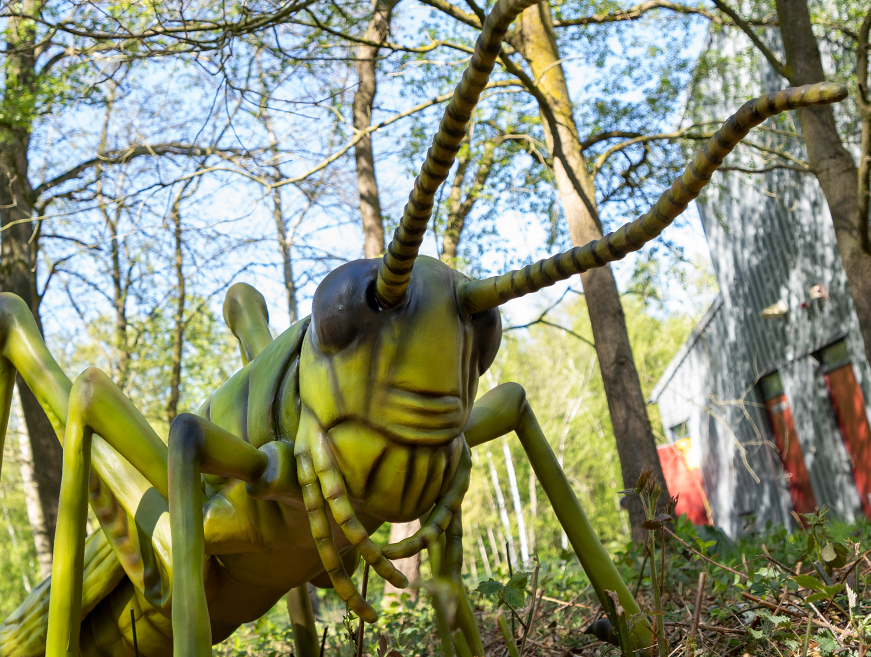 Big Insects Natura Docet Denekamp - 4 juli t/m 23 augustus - Big Insects
