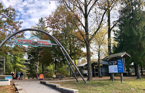 The Excursionist | A Spooktacular Day at Mountsberg Conservation Area