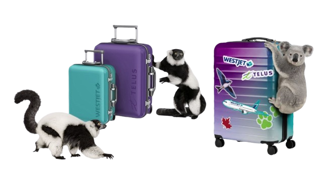 Employee Partner Program | TELUS