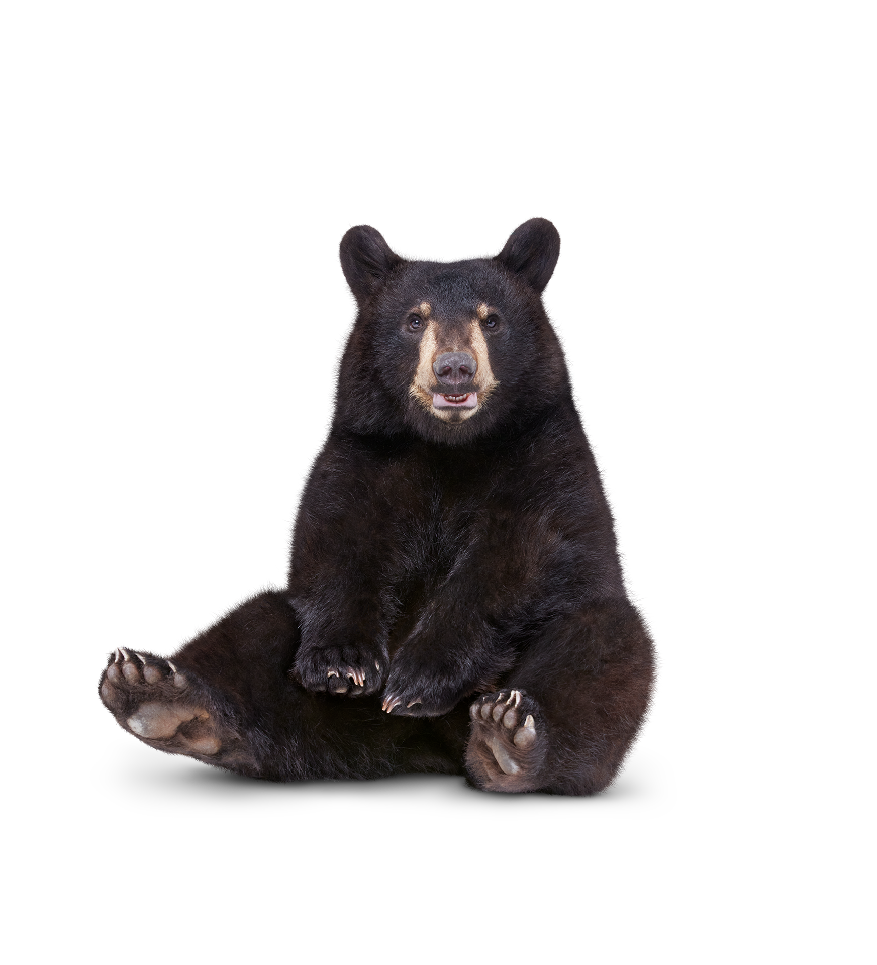 Employee Partner Program | TELUS