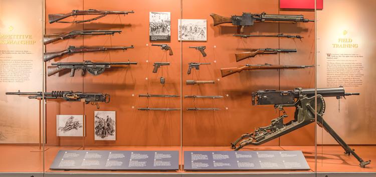 WWI Weapons of War Case