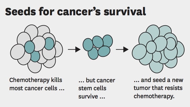Research reveals 'seeds' of liver cancer recurrence | MDLinx