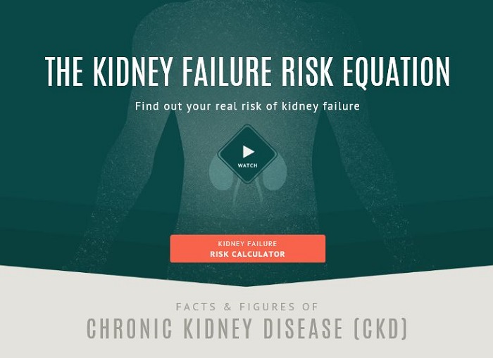 Online risk calculator predicts chance of kidney failure for CKD ...