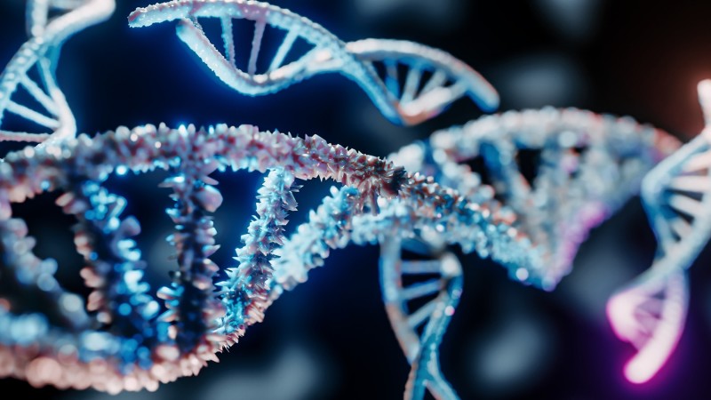 The Y chromosome is dying—what it means for men’s health | MDLinx
