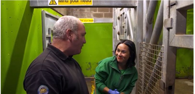 Hidden NI - Episode Six | UTV programmes