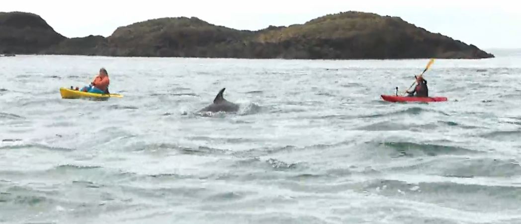 Hidden NI - Episode One | UTV programmes